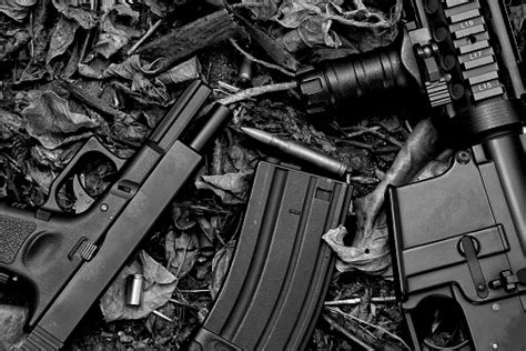 총 무기와 군대 폭행 소총 총 및 9 M M에 대 한 군사 장비 건조 잎 숲 배경에 권총 M16 소총에 대한 스톡 사진 및 기타