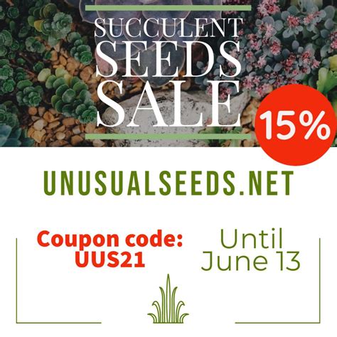 How To Grow Dioscorea From Seeds Unusualseeds