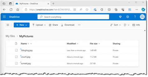 Recover Deleted Files In OneDrive Ask Leo