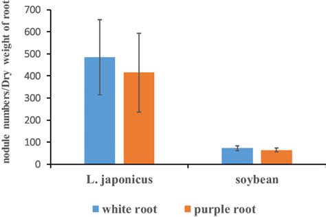 Numbers Of Nodules Formed Per Dry Weight Of Soybean And L Japonicus