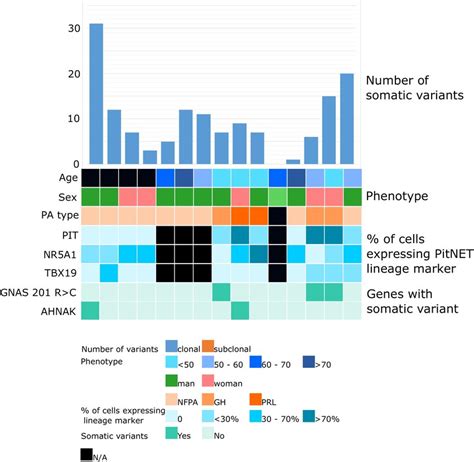 Amount Of Somatic Variants Clinical Information Of Pitnet Patients Download Scientific Diagram