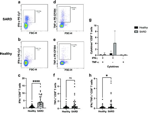 Effector Cytokine Producing Cd8 T Cell Responses In Patients With
