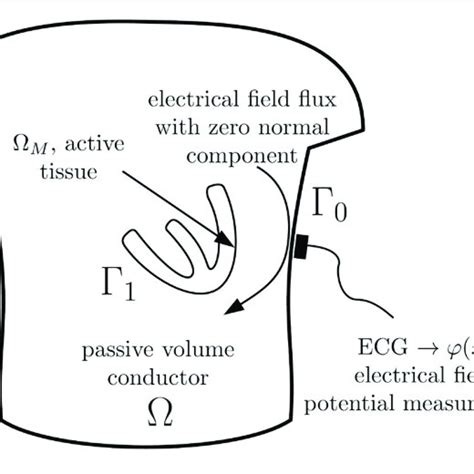Physical Model Underlying The Inverse Ecg Problem Download Scientific Diagram