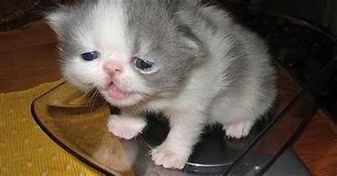 Mrw Getting So Much Hate After My First Post Imgur