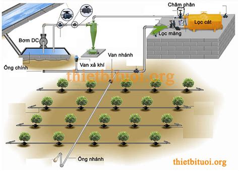 HỆ THỐNG TƯỚI NHỎ GIỌT BẰNG NĂNG LƯỢNG MẶT TRỜI Chuyên phân phối