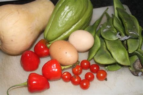 Do Lima Beans Need To Climb And What Sort Of Trellis Is Required
