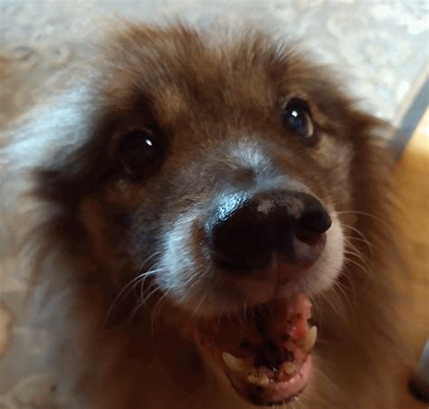 Reuben Album On Imgur