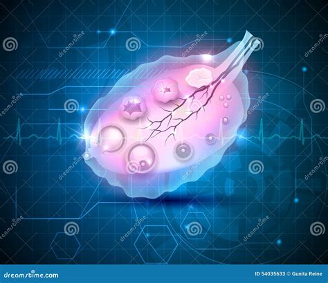 Female Ovary Abstract Blue Background Stock Vector Illustration Of
