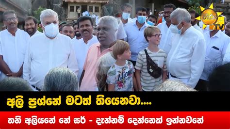 අලි ප්‍රශ්නේ මටත් තියෙනවා තනි අලියනේ නේ සර් දැන්නම් දෙන්නෙක්
