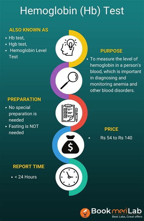 Hemoglobin Hb Test Purpose Price Procedure Risks