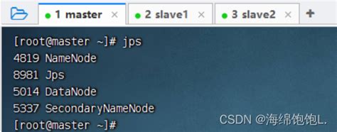 Hadoop集群构建（四）hadoop Envsh Csdn博客