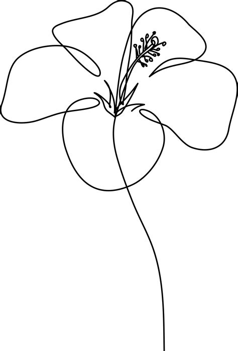 Hibiscus Flower Drawing Tattoo
