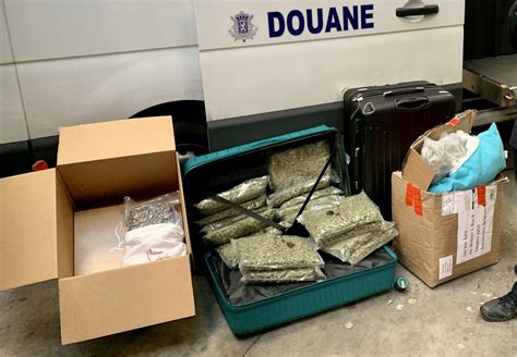 Remarkable Rise In Drug Seizures At Brussels Airport In 2024 Flows