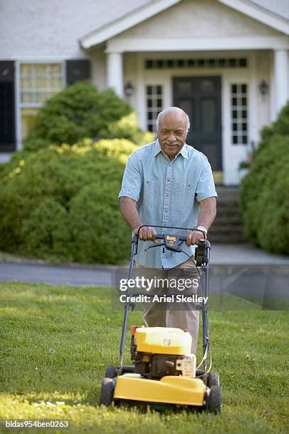 Ariel Grass Photos And Premium High Res Pictures Getty Images