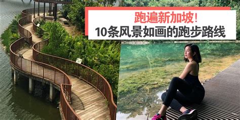 跑遍新加坡 · 10条风景如画的跑步路线！ 最新最in吃喝娱乐、生活资讯就在onmywaysg
