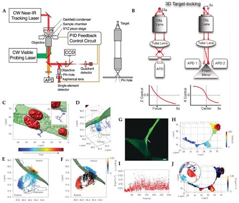 Real Time 3d Single Particle Tracking Towards Active Feedback Single Molecule Spectroscopy In