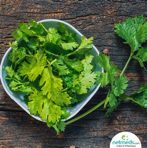 Coriander Leaves 5 Excellent Health Benefits Of Adding These Leaves To