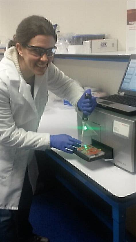 Flexible Up To Date Microplate Reader Helps Users See The Light