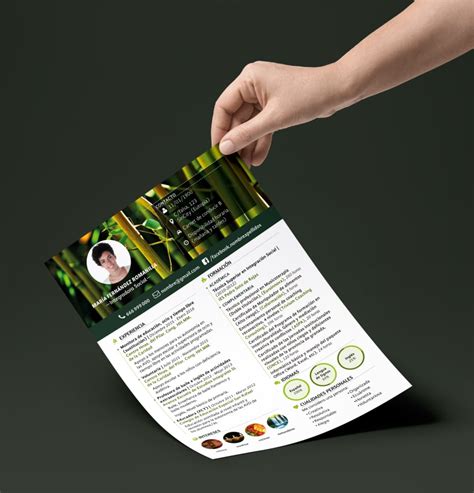 Curriculum Vitae Integradora Social Domestika