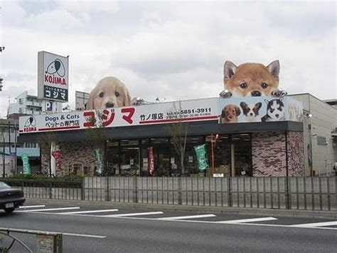 東京都足立区のペットショップ ペットの専門店コジマ 竹ノ塚店