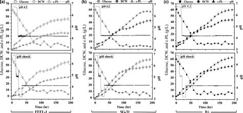 Fed‐batch Fermentation Performance Of Strains Utilizing Two Different Download Scientific