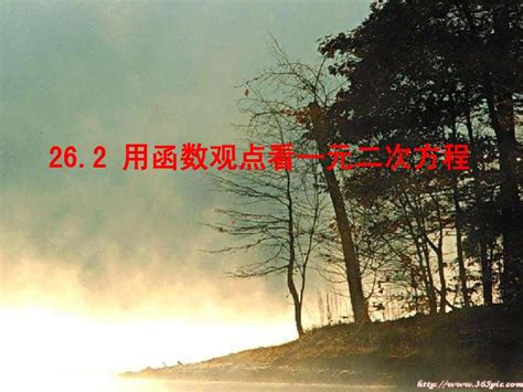 九年级数学上册 用函数观点看一元二次方程课件 人教新课标版word文档在线阅读与下载无忧文档