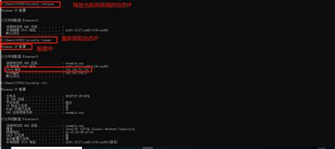 网络服务之dhcp dhcp服务器 csdn博客