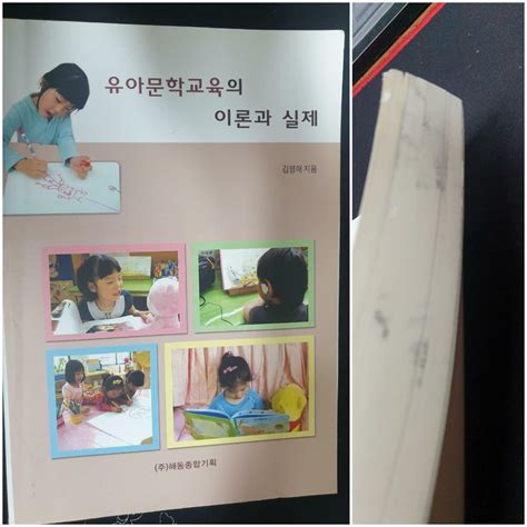 중고 유아문학교육의 이론과 실제 알라딘