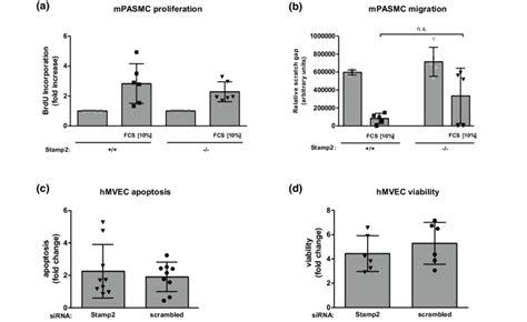 Stamp2 Deficiency Downregulation Does Not Affect Pasmc And Mvec Download Scientific Diagram