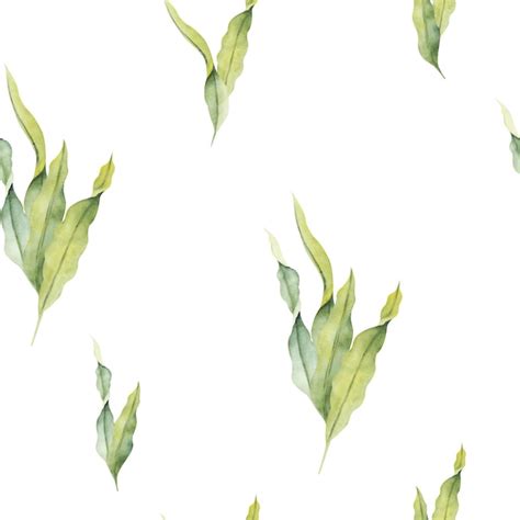 Premium Photo Seamless Pattern With Watercolor Laminaria Hand Painted