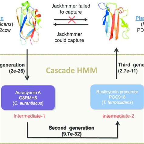 Comparison Of Performance Of Psi Blast Cascade Psi Blast Jackhmmer Download Scientific