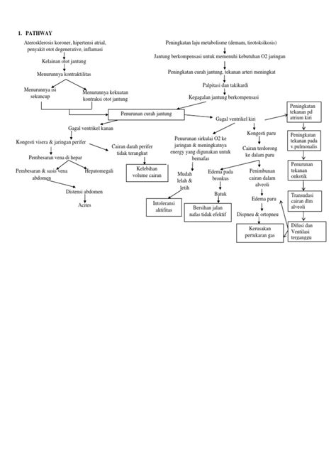 Pathway Adhf Pdf
