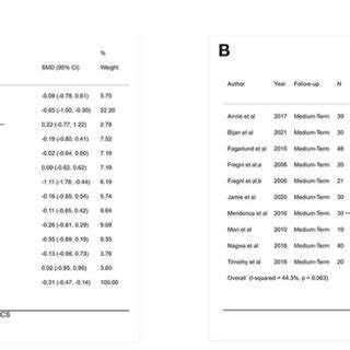 Figure Forest Plot Showing Overall Eeect Sizes Hedges G Of Real Tdcs