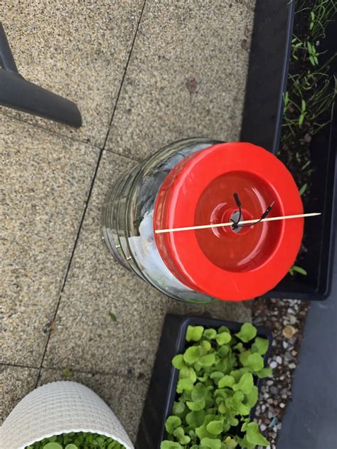 Acetone Smoothing Abs And Asa By Adamgda Makerworld Download Free 3d