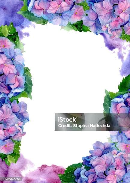 수채화 수국과 A4 프레임의 페인트 얼룩 밝은 여름 봄의 경계 텍스트에 대한 템플릿입니다 계절 제안 졸업장 편지 레이블에 대한 장식 축하 장식입니다 0명에 대한 스톡 벡터