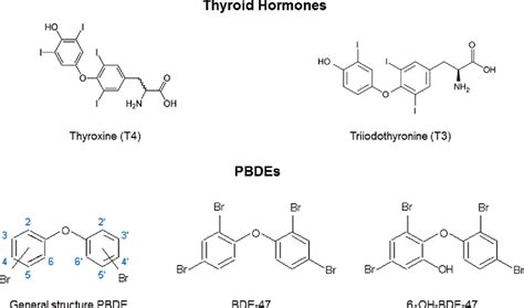 Bde 207 Semantic Scholar