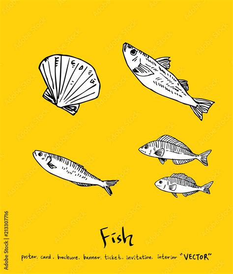 해산물 일러스트 손으로 그린 수산물 그림 Stock Vector Adobe Stock