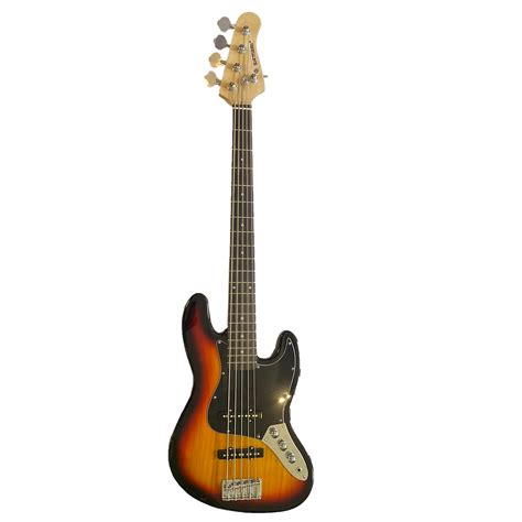5 String Bass Guitar Sattarimusic