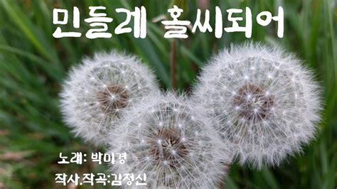 민들레 홀씨되어 박미경 노래 가사자막 Youtube