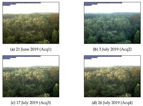 Remote Sensing Special Issue Forest Biomass And Carbon Observation With Remote Sensing