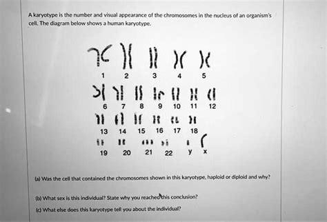 Solved A Karyotype Is The Number And Visual Appearance Of The Chromosomes In The Nucleus Of An