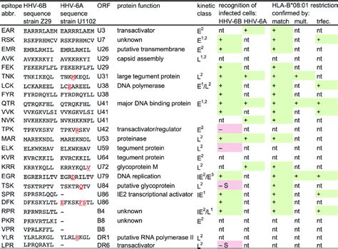 Overview Of Hla B Ã 0801 Restricted Peptides And Epitopes Recognized