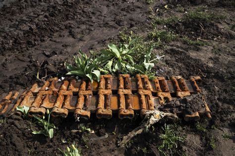 Оцінка шкоди довкіллю від російської агресії Prometheus