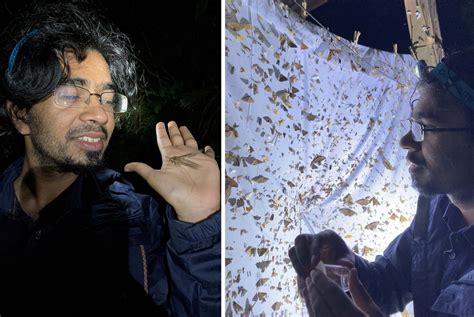 Researchers Develop Portable Sensor Packed Tool For Insect Tracking Bes