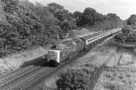 The Transport Library Br British Rail Diesel Locomotive Class 55