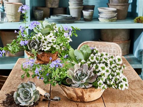 106 Of Our Best Container Gardening Ideas