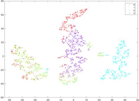 Data Distribution After Feature Extraction And T Sne Dimension
