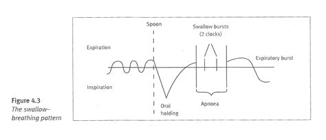 Brain Salt Cervical Auscultation