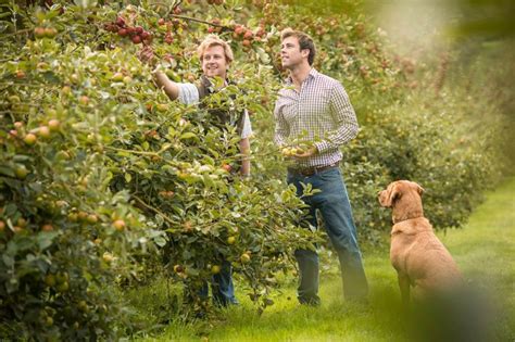 Healeys Cornish Cyder Farm Near Newquay Cornwall