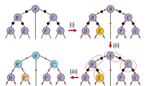 Tutorial Canonical Forms Tensors Net